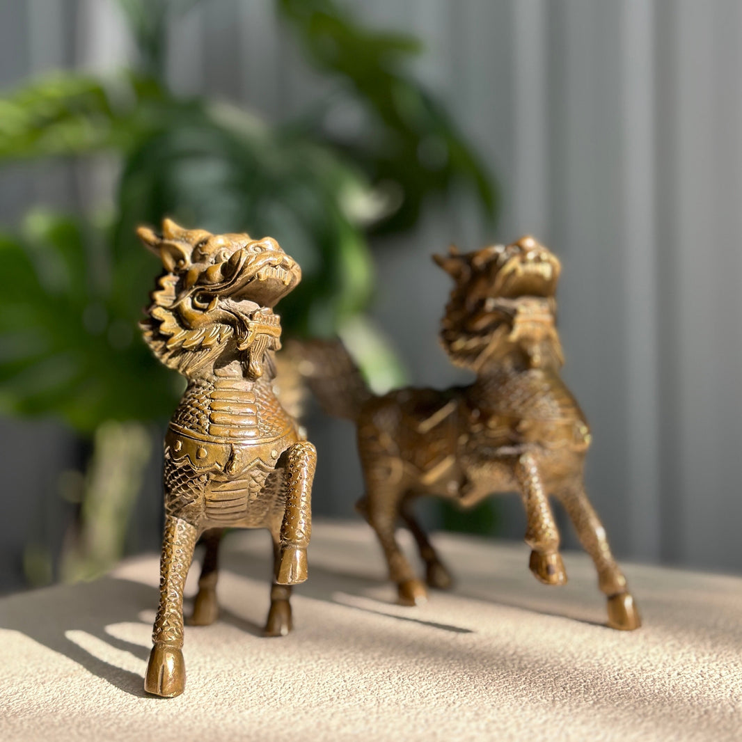 Luo Pan Store – Luo Pan Store